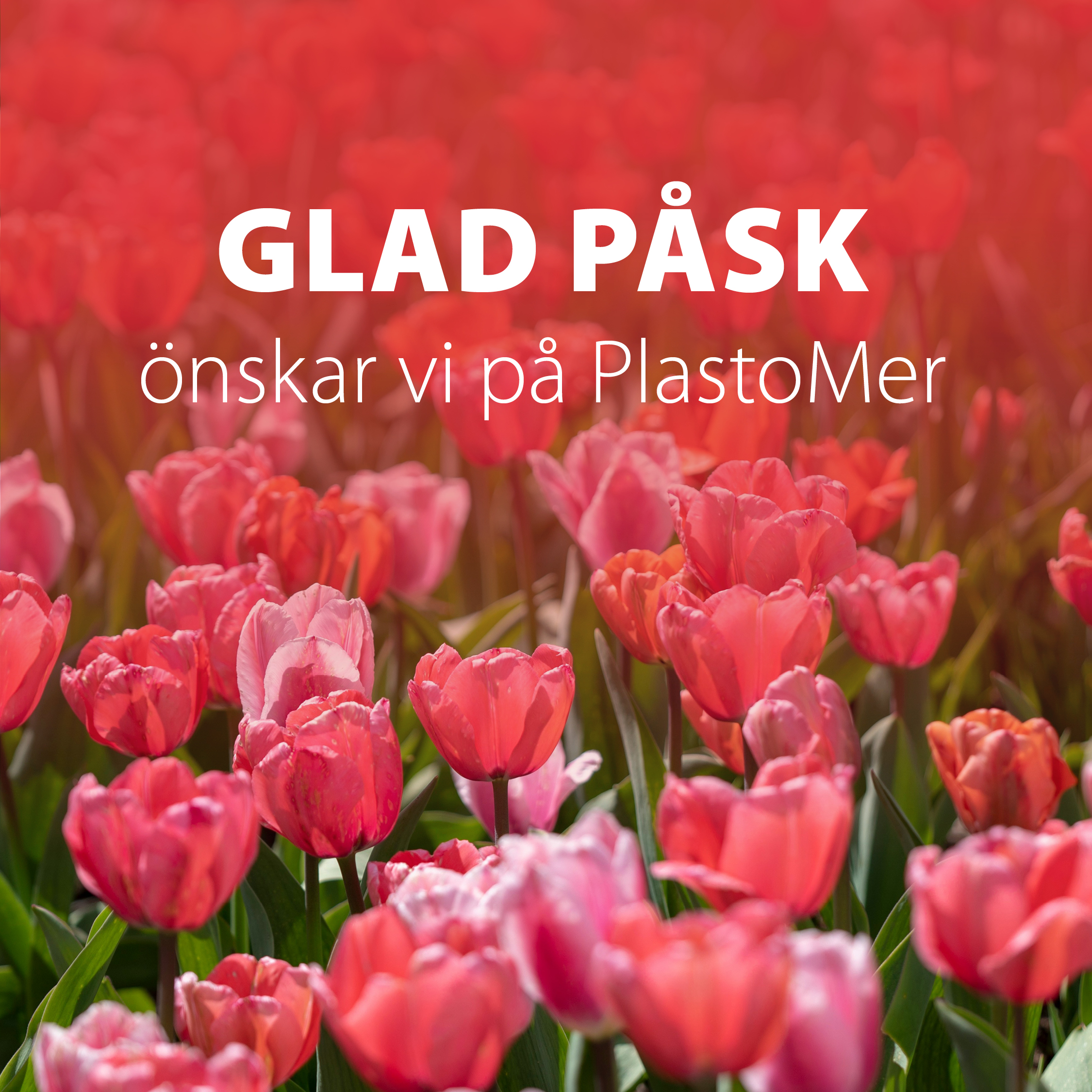 Glad påsk! - Plastomer